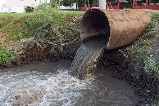 The 5 Health Risks That Come From Sewage Damage